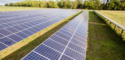 Considering Ground-Mount Solar for your Organization?